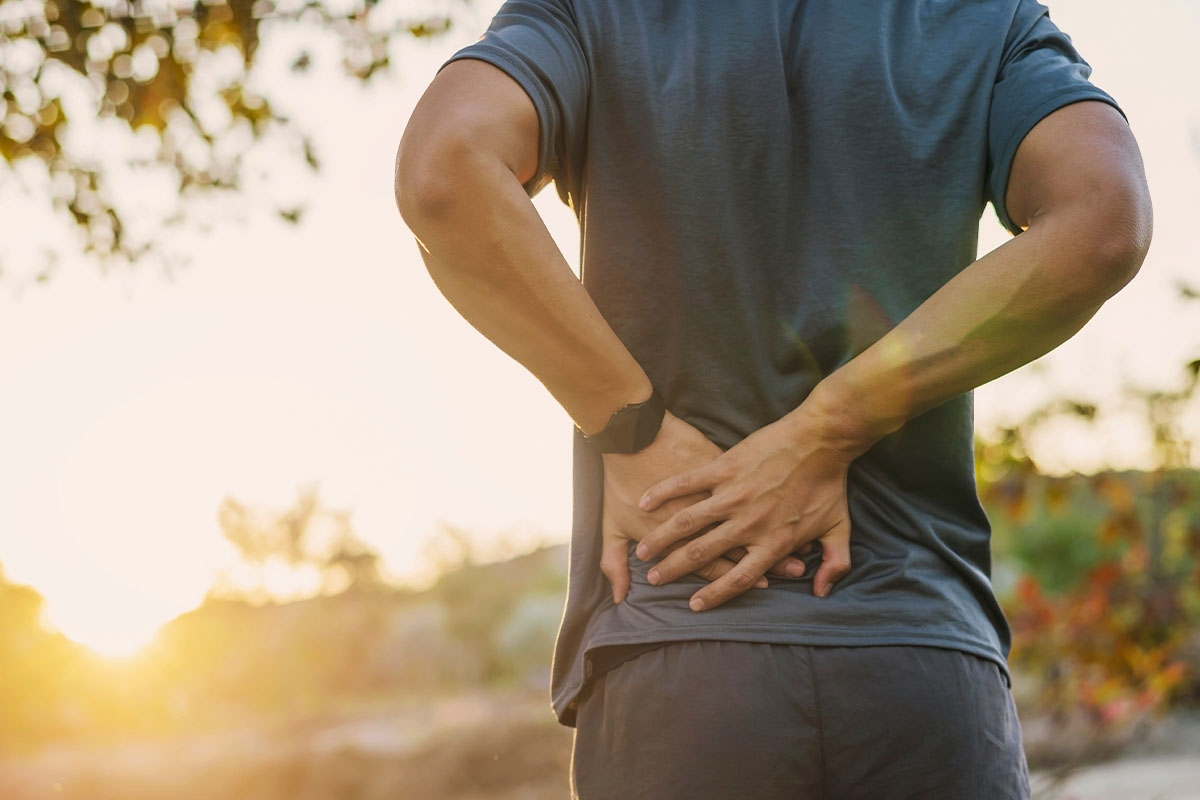 Exercise & Sports Science Australia Home